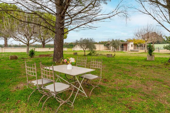 Studio Marquet - Beaucaire