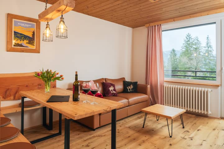 Appartement-première Classe-salle De Bain Privée-v - Herrischried