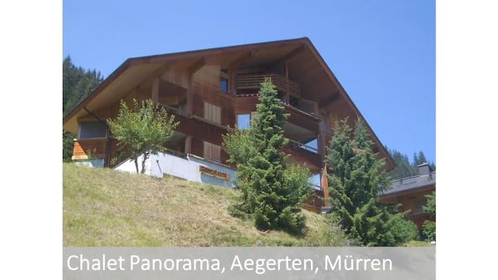 Panorama 2 Bett Wohnung - Grindelwald