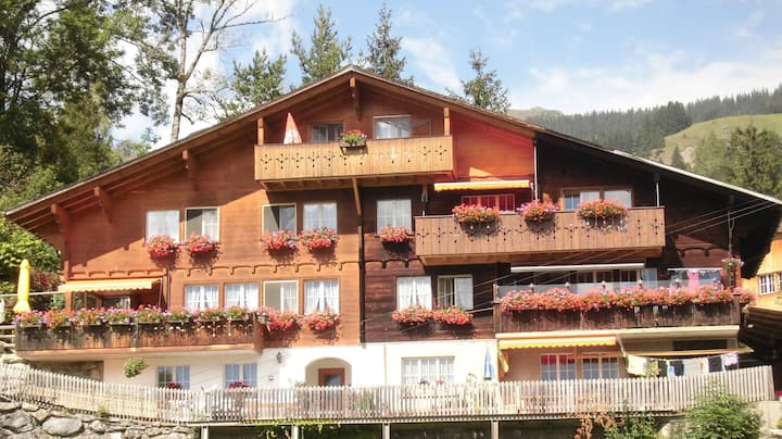 Ferienwohnung Nägeliplatten - Innertkirchen
