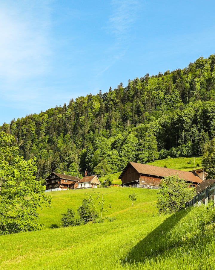 Biohof Langberg - Morschach