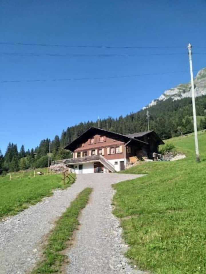 Ferienhaus Willenschwand Adelboden - Adelboden