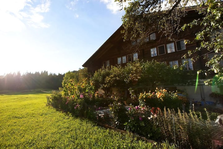 6.5 Zimmer Ferienwohnung Hofstatthaus - Hasliberg