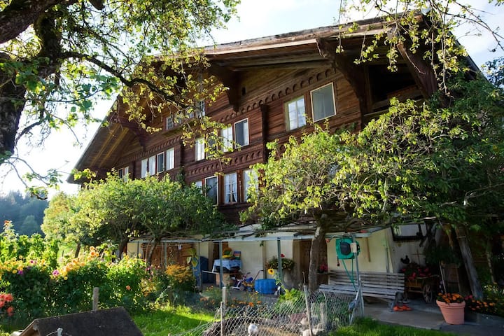 4.5 Zimmer Ferienwohnung Hofstatthaus - Hasliberg