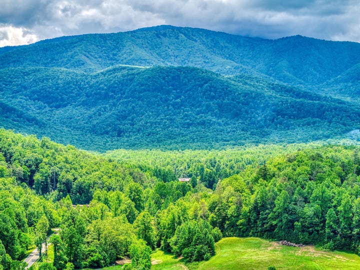 Owner's Cabin- Mountain Views, Starting At $99 - Cosby, TN