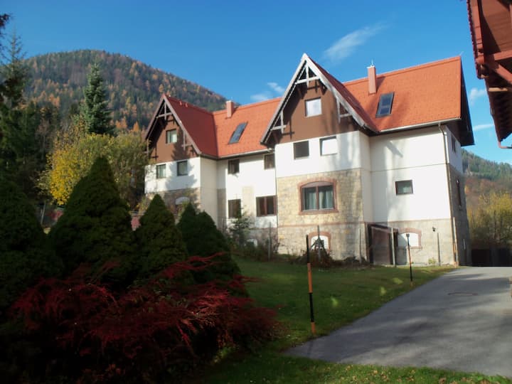 Villa Wellspacher - Renovated 19th Century Villa - Semmering