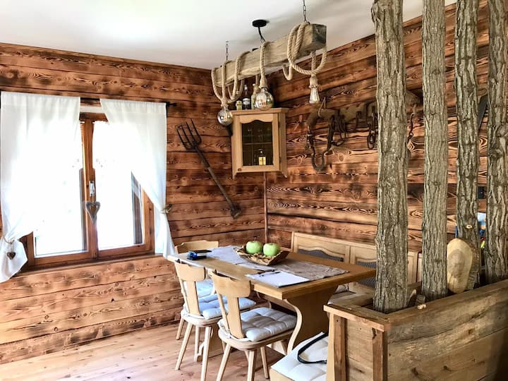 Parmi Les Sommets Des Dolomites (Chalet Apartment) - Sauris di Sotto