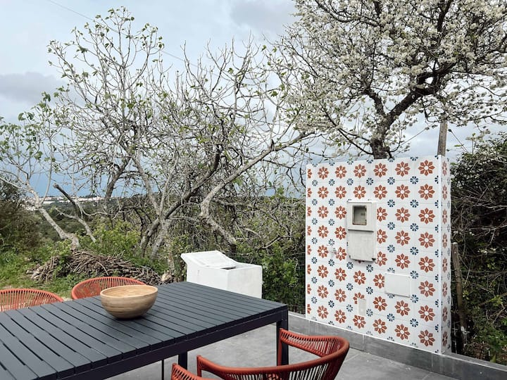 Country House & Windmill - Sines