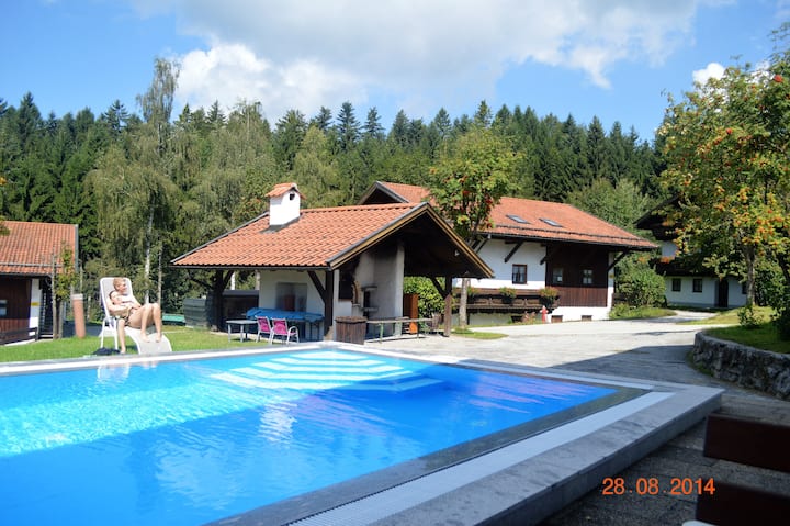 Fewo Adalbert Stifter Bayerischer Wald, Passau,. - Hauzenberg