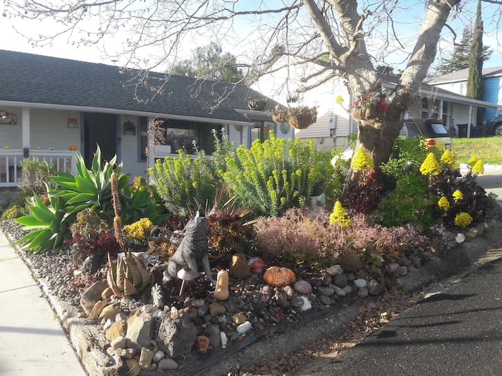 50 La Cruz Avenue, Benicia, Kalifornien - Benicia, CA