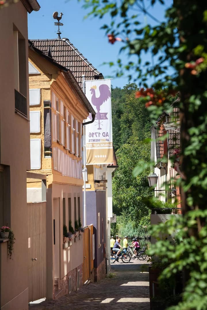 Wohnung In Marktheidenfeld Mit Garten, Grill Und. - Marktheidenfeld