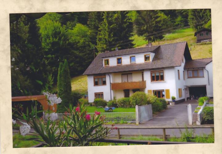 Ferienwohnung Im Anbau - Frammersbach