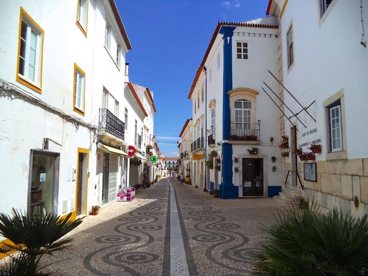 Geschichte, ÖNologie Und Gastronomie Im Alentejo - Borba