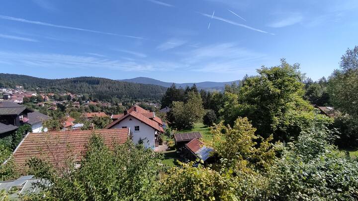 Zur Alten Schmiede - Zwiesel