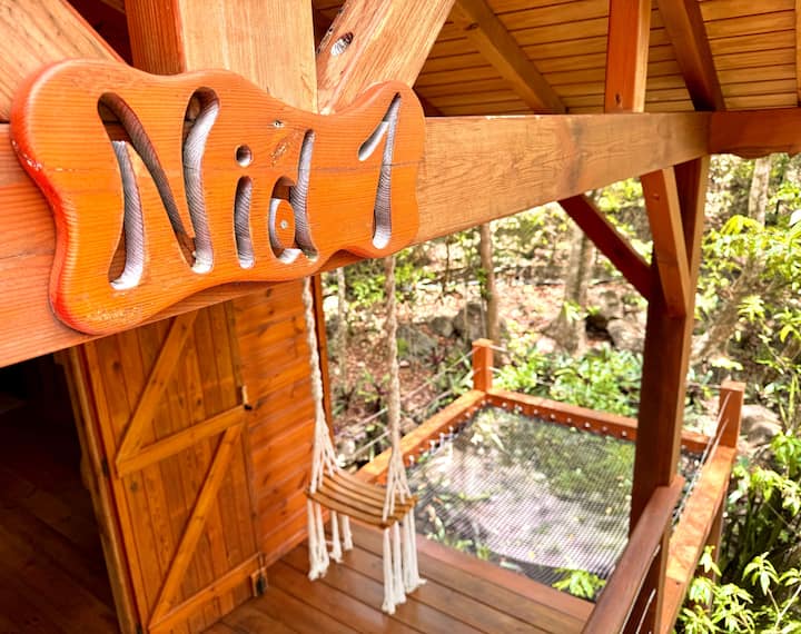 Nid Des Colibris - Deshaies