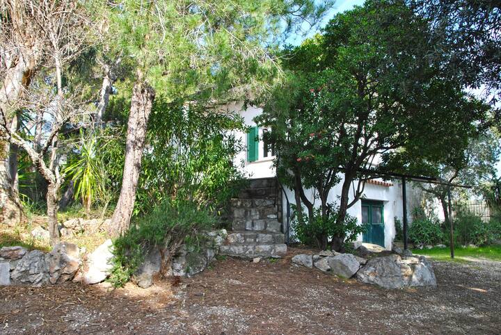 Villa Zur Alleinbenutzung Im Grünen - Sperlonga