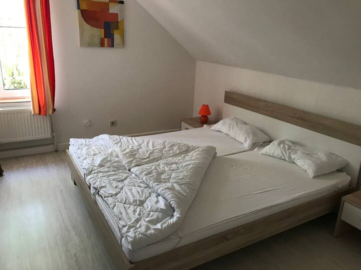 Große Wohnung In Nesse Mit Garten Und Terrasse - Norderney