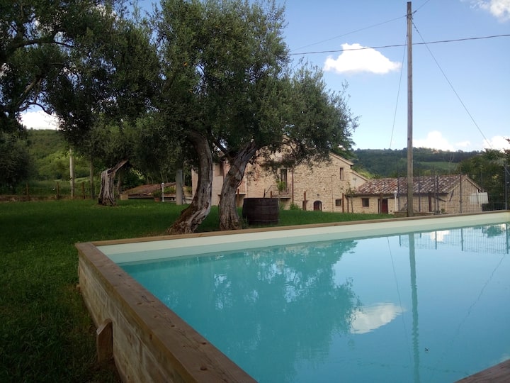 La Collina Degli Ulivi, Ginestra Perugia - Perugia