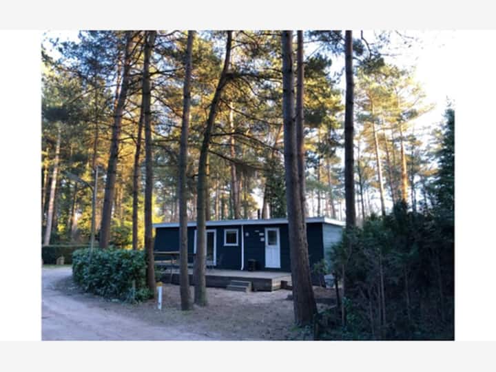 Chalet Standard Dans La Campine Anversoise - Lille, Belgium