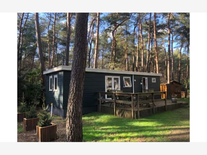 Chalet Tranquille Dans Une Pinède à Anvers - Lille