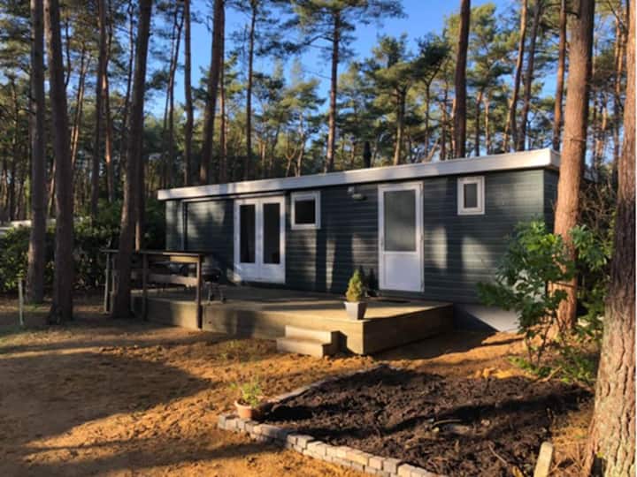 Joli Chalet Dans La Campine Anversoise - Lille