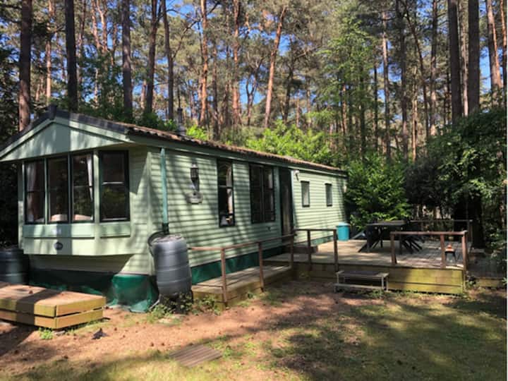 Chalet Dans La Forêt Tranquille D'anvers - Zandhoven
