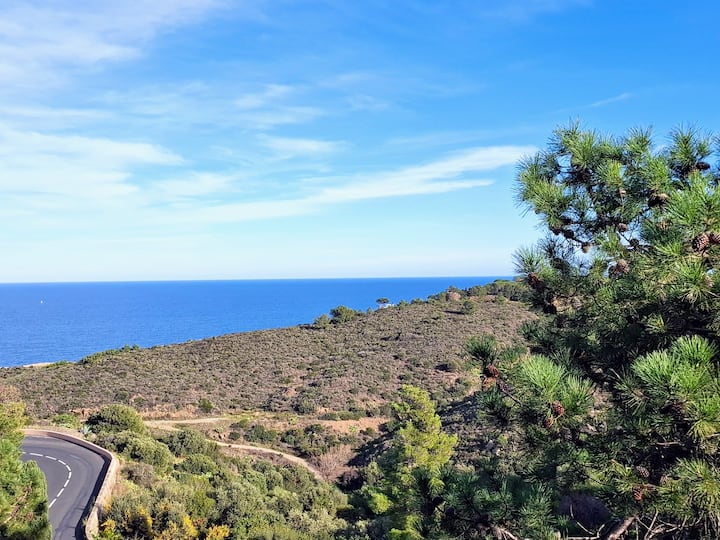 Appartement Banyuls-sur-mer, 2 Pièces, 4 Pers. - Cerbère