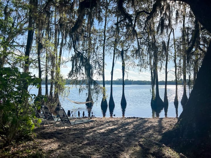 Lakeside Guest House! | By Fsu & Fam | Wet Room! - Tallahassee, FL