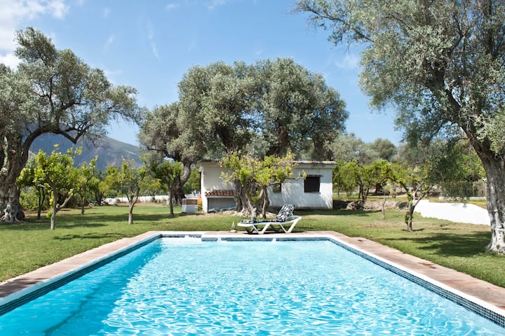 Romero - Cortijo Puerta - Lanjarón