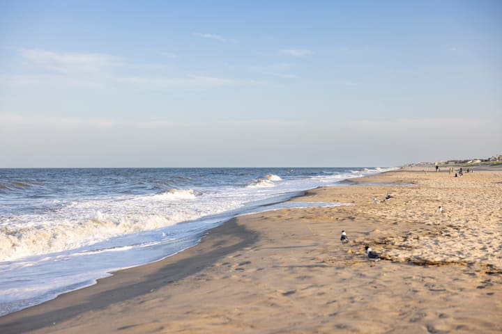 Accessible King Room | Roll-in Shower & Wi-fi - Dewey Beach, DE