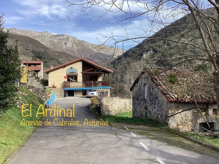 Apartment Cares - Cabrales