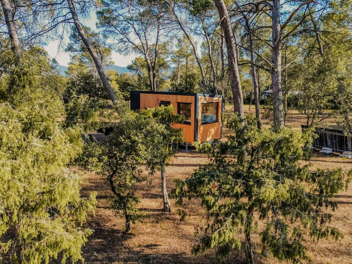 Homnest - Flânerie Provençale & Saveurs Du Sud - Le Luc