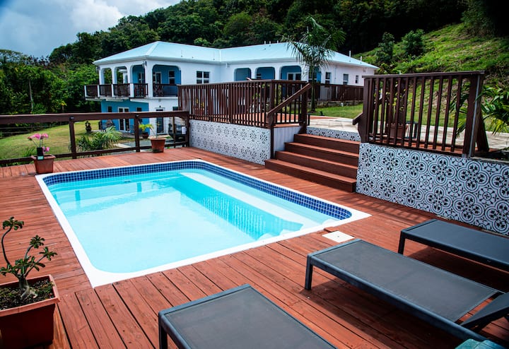 Hidden Gem Of Salt River! - U.S. Virgin Islands