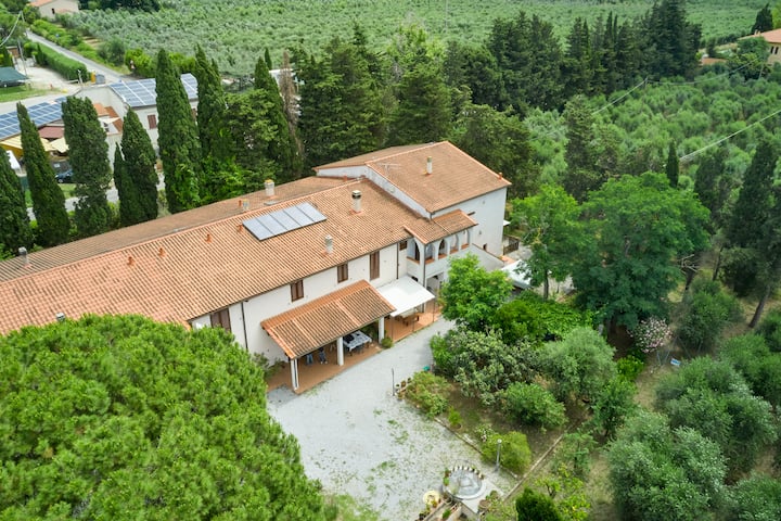 Antichi Palmenti - Alloro - San Vincenzo