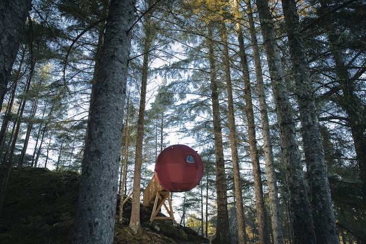 Tree Tent - Kyle of Lochalsh