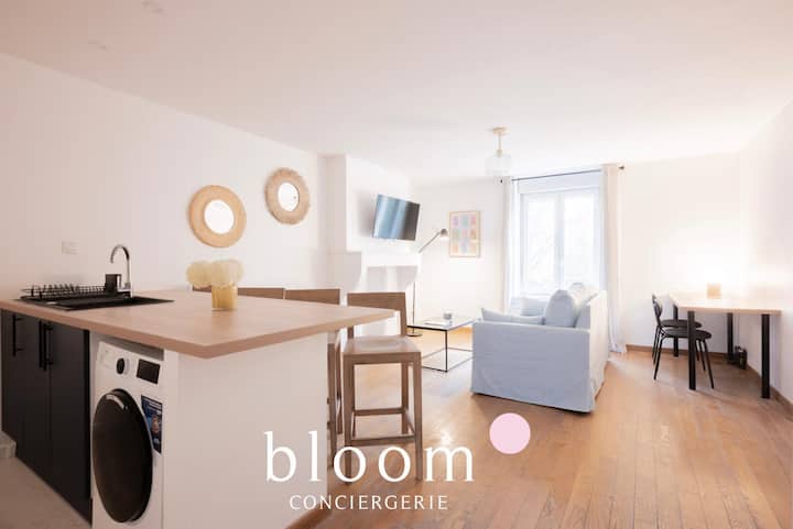 Le Chaleureux Leclerc 2 Chambres 4p - Nancy