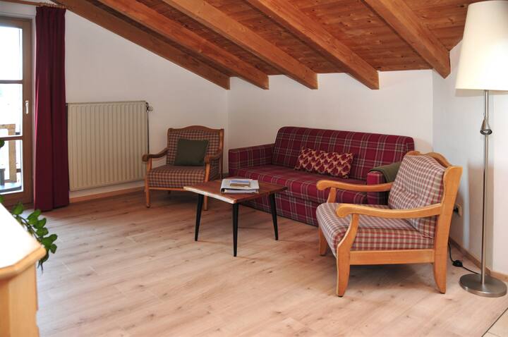 Apartment Hochsalwand, 2-4 Persons - Bad Feilnbach