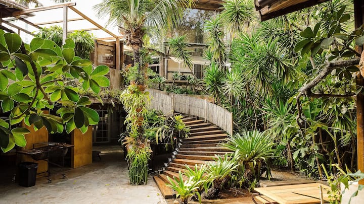 Morro Da Luz - Ypê Greenhouse - Niterói