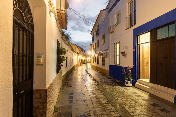 3 Bd House With Private Solarium And Patio - Cordoue