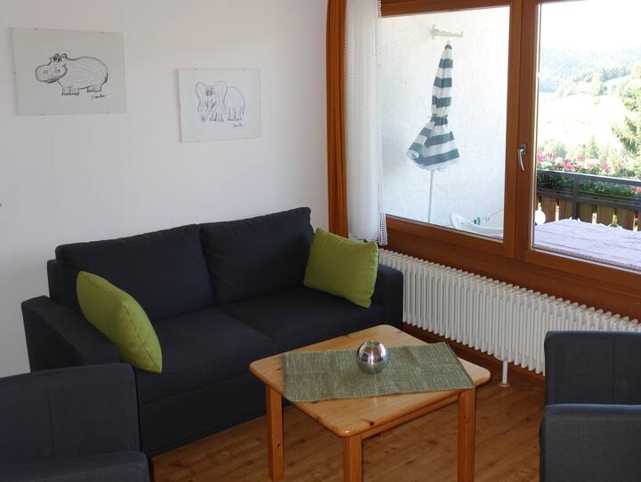 Ferienwohnung 2, 45 Qm - Todtnau