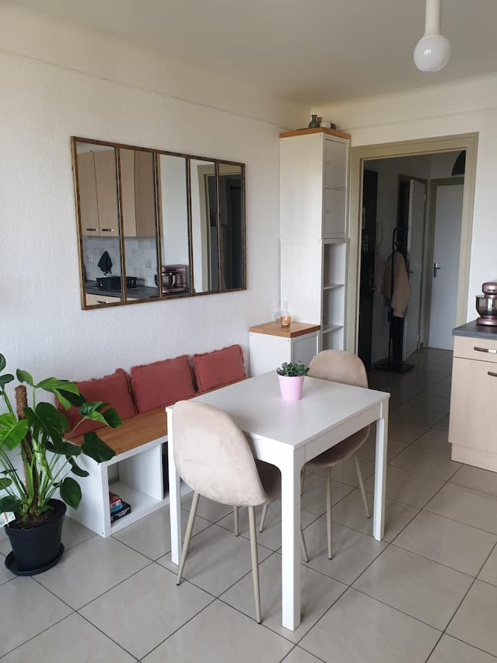 3 Quater Avenue De Chevesnes - Annecy