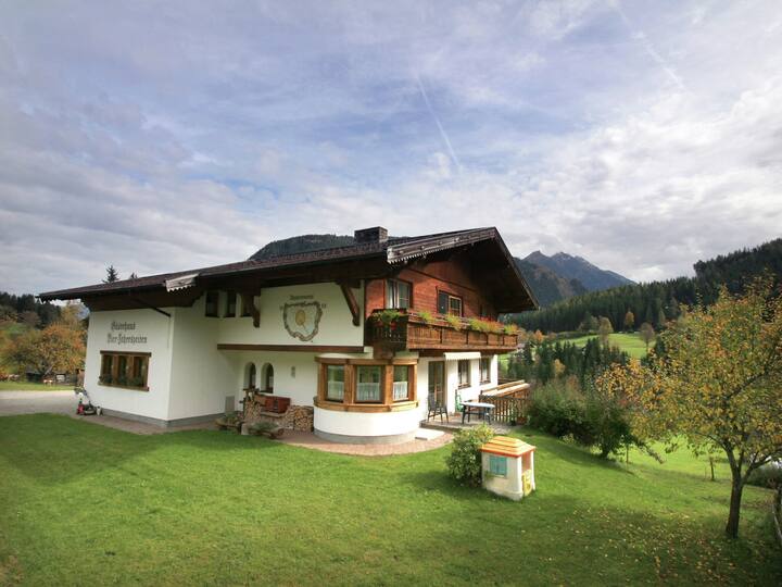 Appartement Confortable Avec Sauna à Schladming - Schladming
