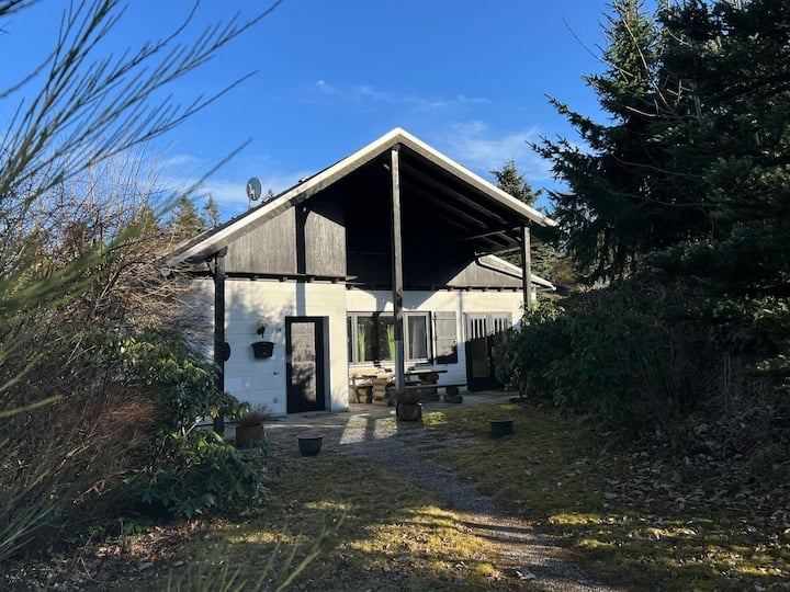 Chalet Bergliebe Willingen- Nähe Skywalk (273222) -