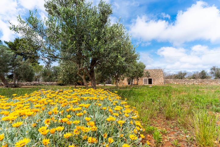 Le Pajare Di Annibale By Barbarhouse - Gallipoli