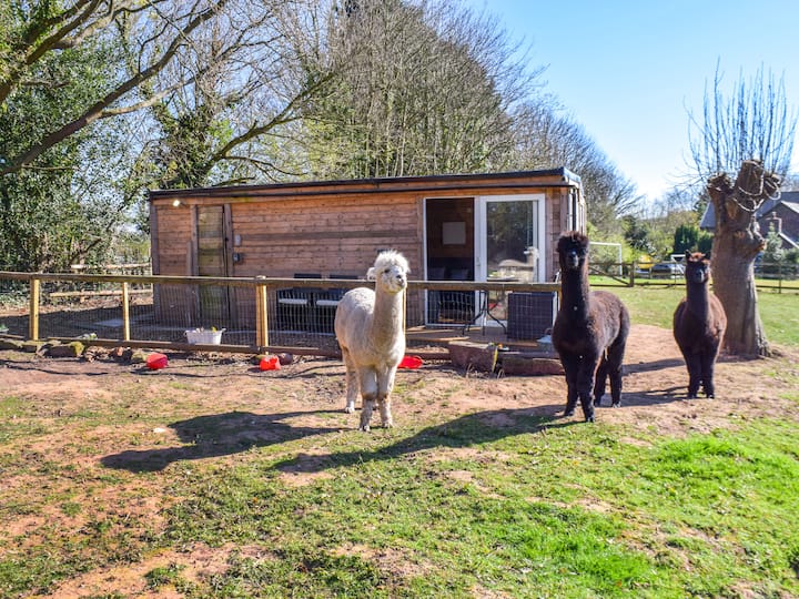Alpaca Lodge - Northwich