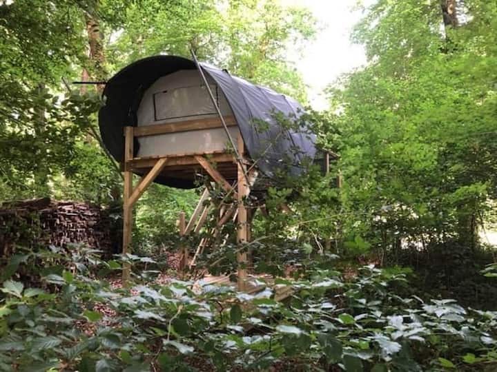 La Tente Du Bûcheron - Tintigny