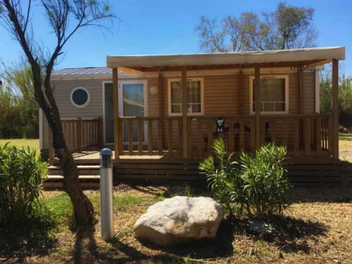 Camping - Ccaiifc - Montpellier