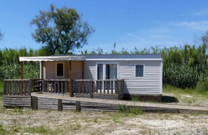 Camping - Ccaiife - Montpellier