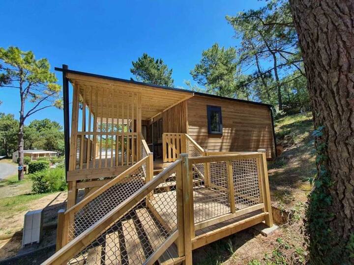 Camping 4 éToiles - Piscine  - Ccafgbc - Saint-Hilaire-de-Riez