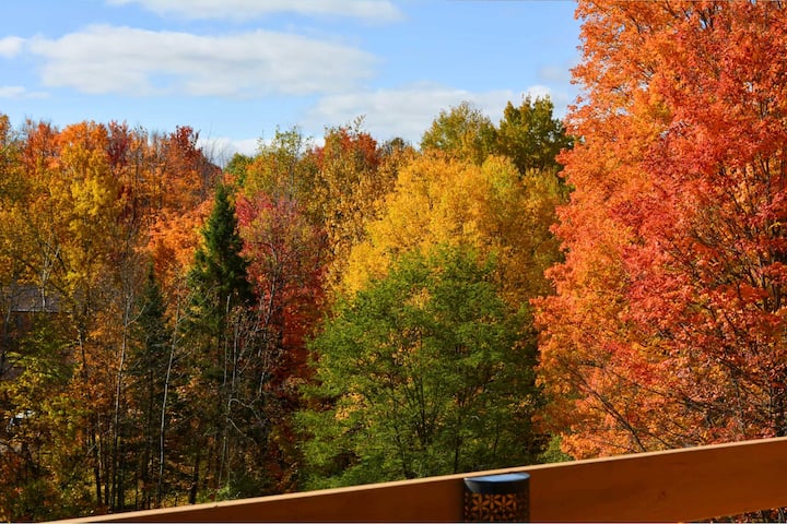 Trout Creek Resort Condo - 6 Mi To Lake Michigan! - 하버 스프링스